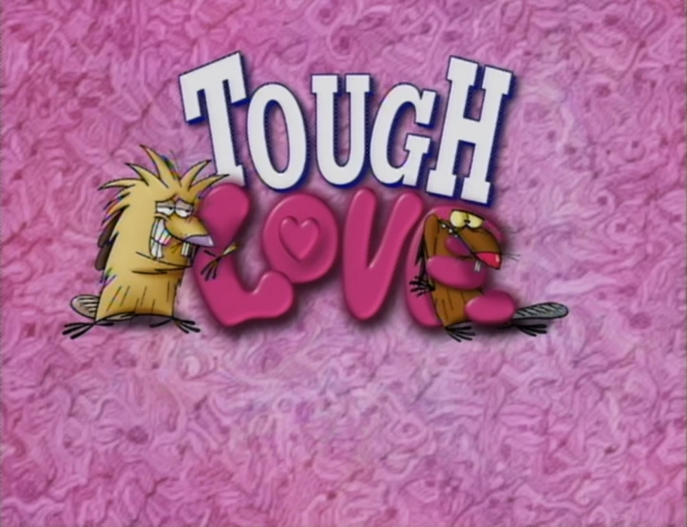 The Angry Beavers/Tough Love / A Little Dad’ll Do You | Nickstory Wiki ...