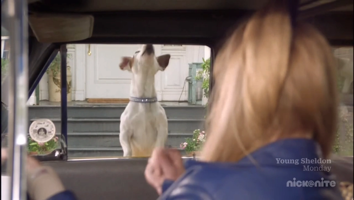 November 29, 2020 | Nickstory Wiki | Fandom