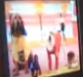 August 25, 2009 | Nickstory Wiki | Fandom