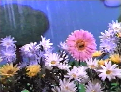 Nick Jr. Sings | Nickstory Wiki | Fandom