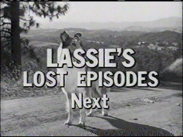 Events | Nickstory Wiki | Fandom