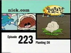 Commercial Central/2001/February 2001 | Nickstory Wiki | Fandom