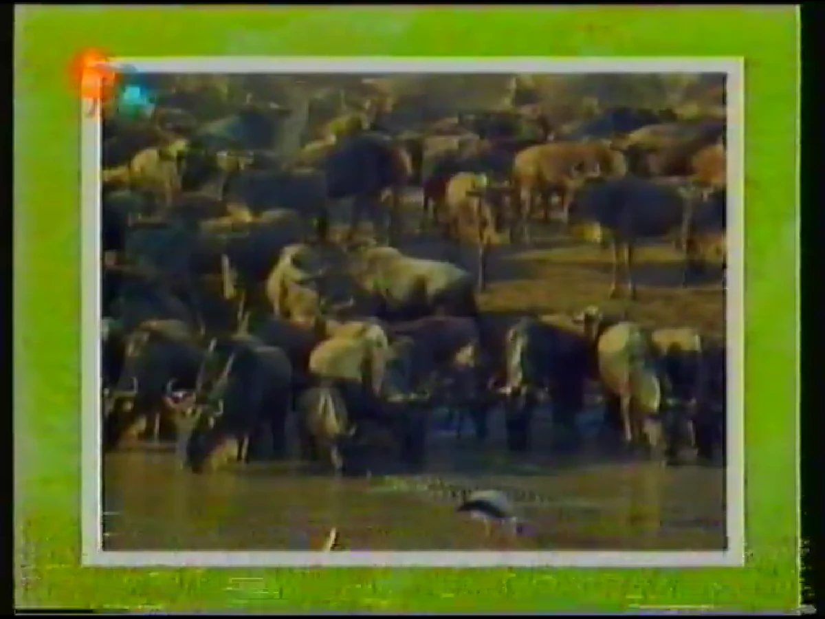 23 January 1997 | Nickstory UK Archives Wiki | Fandom