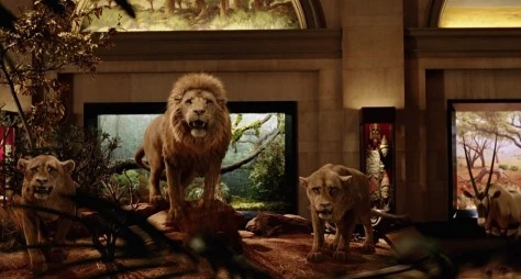 African Lion (Night At the Museum) | Ultima Wiki | Fandom