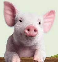 Wilbur | Nicktoons Heroes Wiki | Fandom