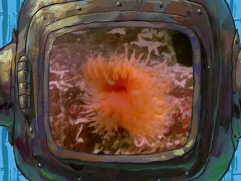 Dancing anemone | Nickverse Wiki | Fandom