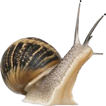 Snale | Nico's Nextbots Fanmade Wiki | Fandom