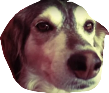 Autotune-Dog | Nico's Nextbots Fanmade Wiki | Fandom