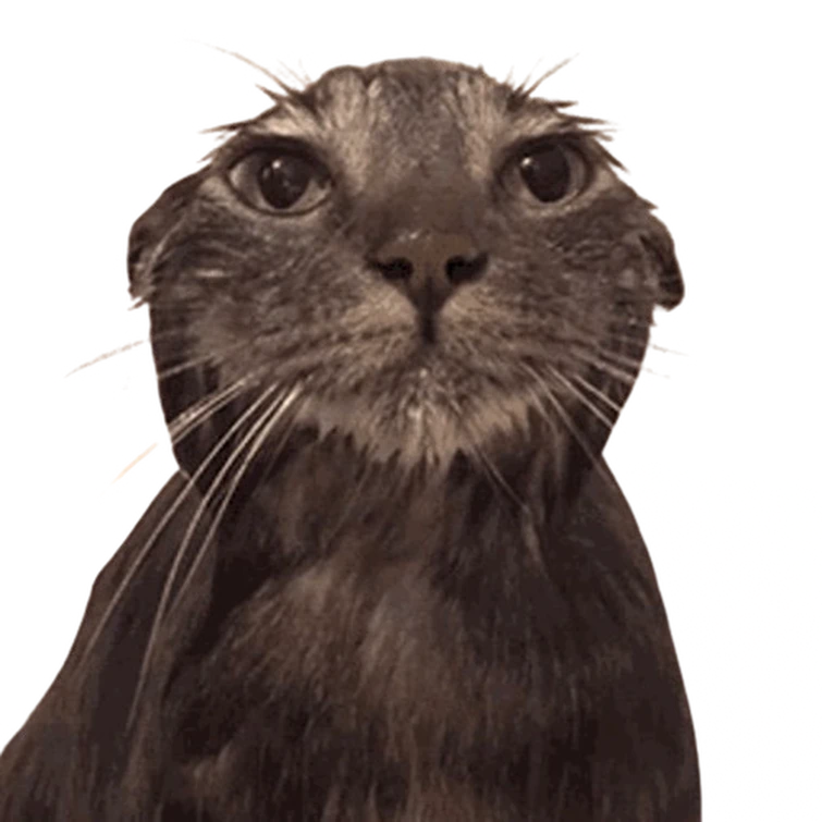 Shower | Nico's Nextbots Fanmade Wiki | Fandom