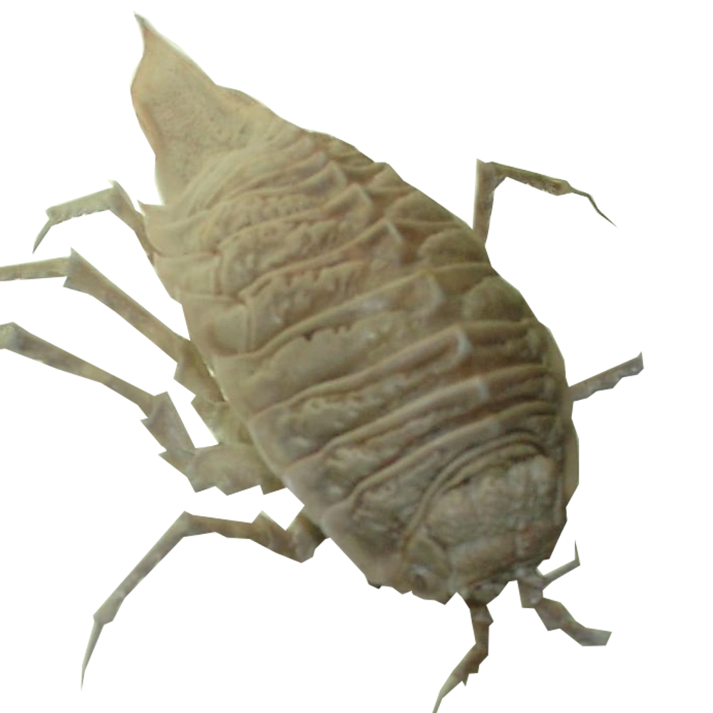 150 | Nico's Nextbots Fanmade Wiki | Fandom