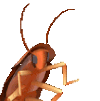 dancing cockroach | Nico's Nextbots Fanmade Wiki | Fandom