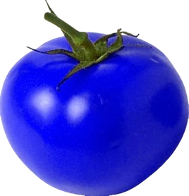 Blue tomato | Nico's Nextbots Fanmade Wiki | Fandom