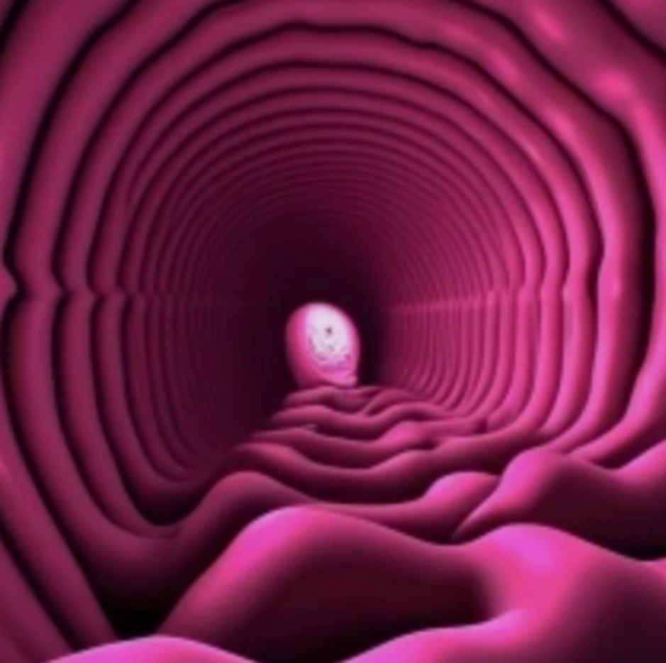 Nn brain | Nico's Nextbots Fanmade Wiki | Fandom