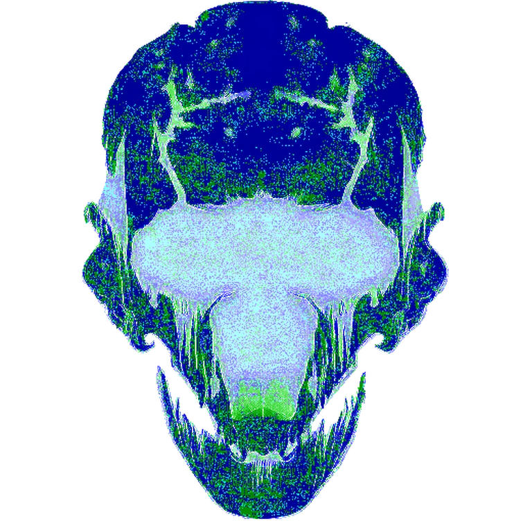 S̷̱̯̜̟͎̎̄k̵̬͉̤̻͈̓ṵ̵̲͍̹̞͓́̋̽ͅl̷̗̹̠̕l̸͙̟̎̑̆̓͘͝ | Nico's Nextbots Fanmade ...