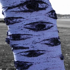 Birch Tree | Nico's Nextbots Fanmade Wiki | Fandom