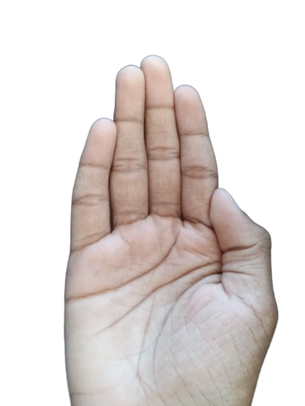 Hand | Nico's Nextbots Fanmade Wiki | Fandom