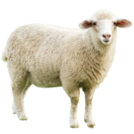 beh | Nico's Nextbots Fanmade Wiki | Fandom