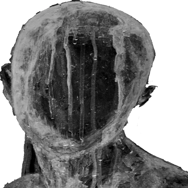 Nofaceness | Nico's Nextbots Fanmade Wiki | Fandom