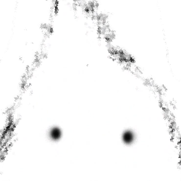 Reverse Hinn | Nico's Nextbots Fanmade Wiki | Fandom