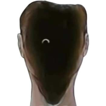 dorcelessness | Nico's Nextbots Fanmade Wiki | Fandom