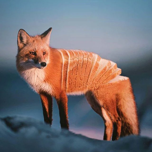 Breadfox | Nico's Nextbots Fanmade Wiki | Fandom