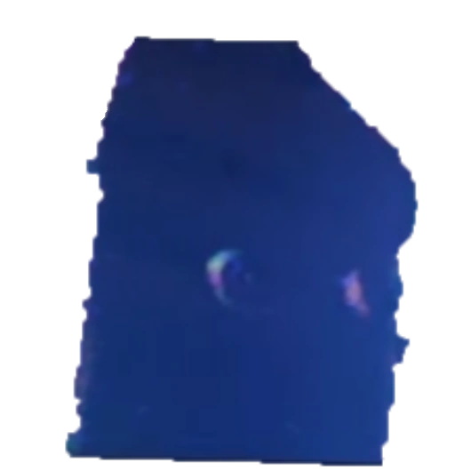 squid | Nico's Nextbots Fanmade Wiki | Fandom