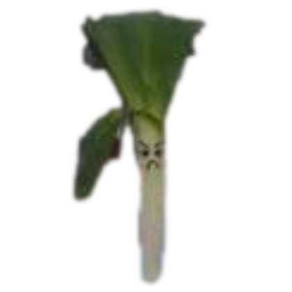 angry leek | Nico's Nextbots Fanmade Wiki | Fandom