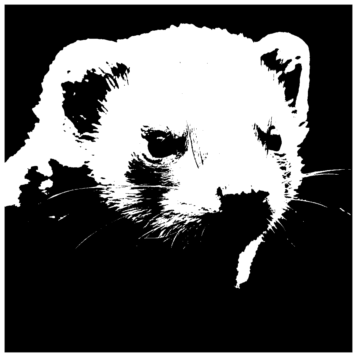 ARG Ferret | Nico's Nextbots Fanmade Wiki | Fandom