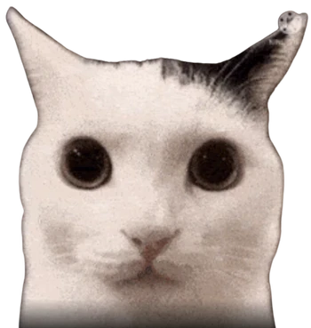 catto | Nico's Nextbots Fanmade Wiki | Fandom