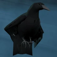The Crow from GMOD | Nico's Nextbots Fanmade Wiki | Fandom