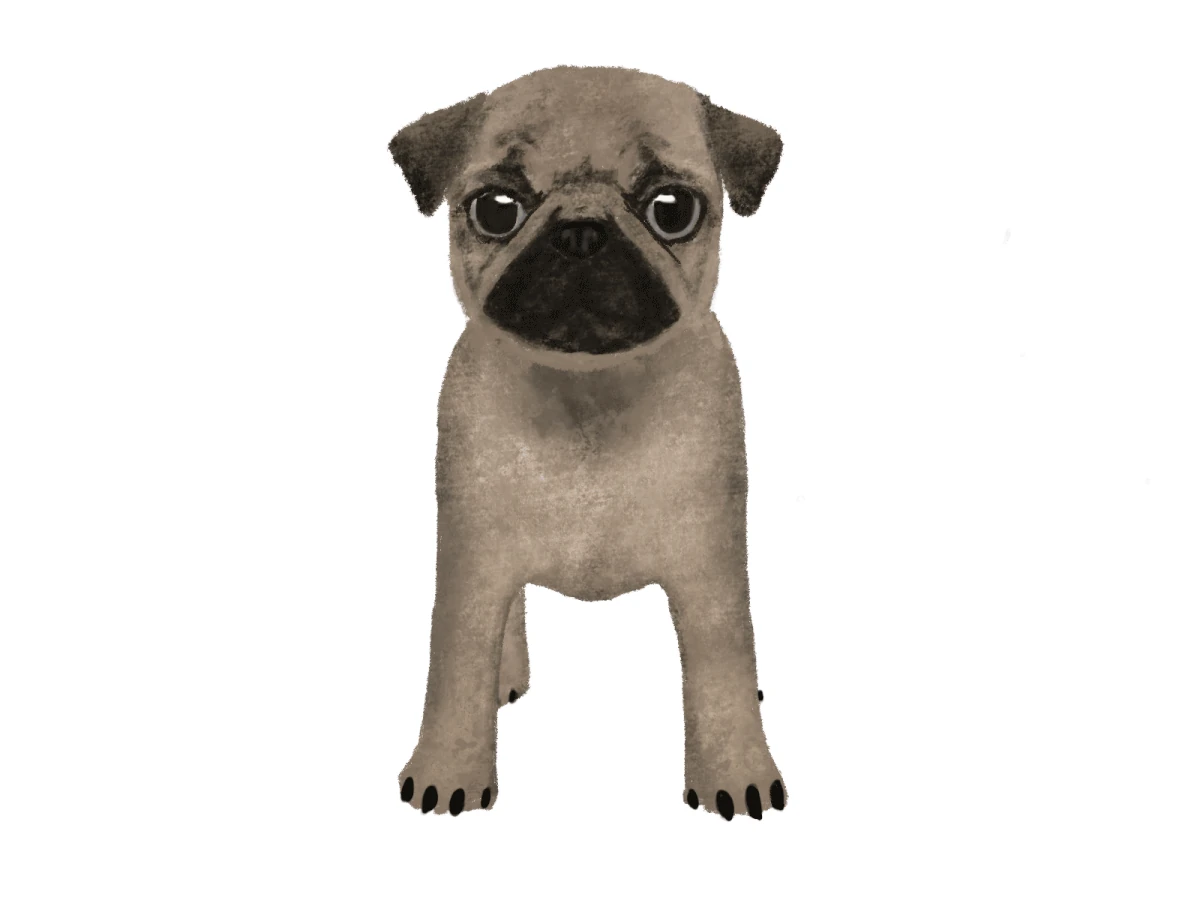 Pug | Nico's Nextbots Fanmade Wiki | Fandom