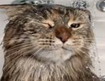 Davaughn | Nico's Nextbots Fanmade Wiki | Fandom