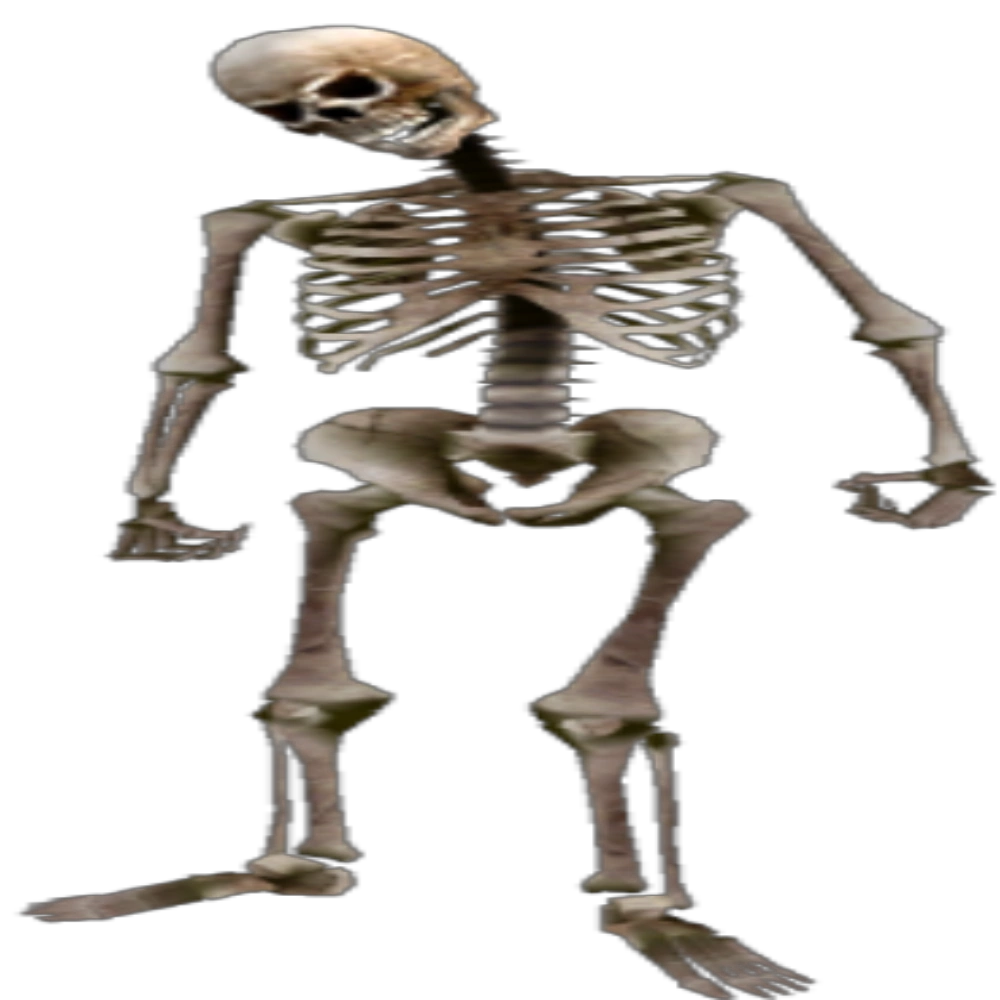 spoky skelton! | Nico's Nextbots Fanmade Wiki | Fandom