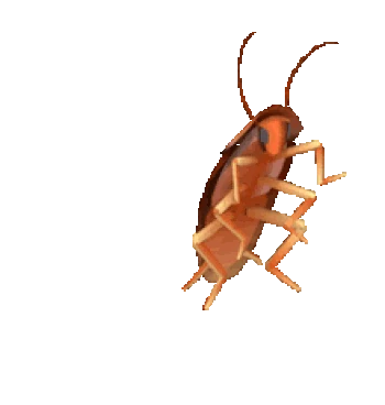 dancing cockroach | Nico's Nextbots Fanmade Wiki | Fandom