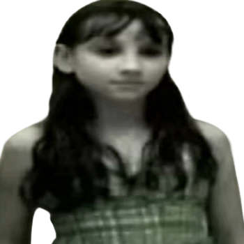 Mirror ghost | Nico's Nextbots Fanmade Wiki | Fandom
