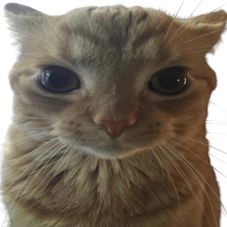 Angrycat | Nico's Nextbots Fanmade Wiki | Fandom