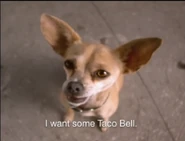 Tacobell dog | Nico's Nextbots Fanmade Wiki | Fandom