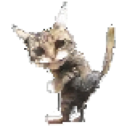 Cat | Wiki Nico's Nextbots Việt Nam | Fandom