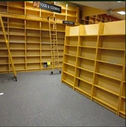 liminesque | Nico's Nextbots Wiki | Fandom