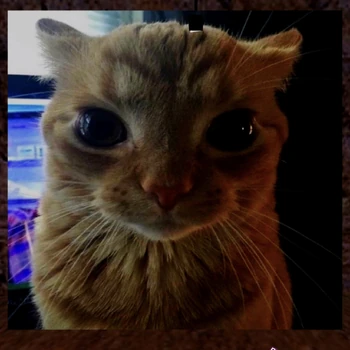 fritzi | Nico's Nextbots Wiki | Fandom