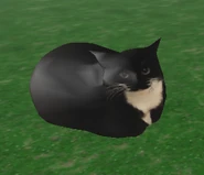 maxwell | Nico's Nextbots Wiki | Fandom