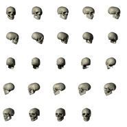skull | Nico's Nextbots Wiki | Fandom