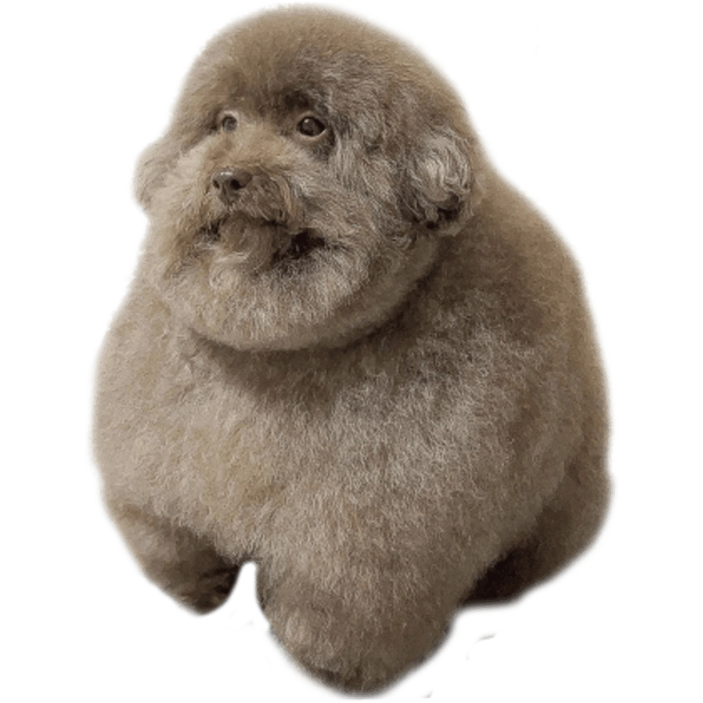 mohu | Nico's Nextbots Wiki | Fandom