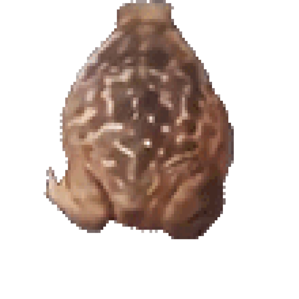 frog | Nico's Nextbots Wiki | Fandom