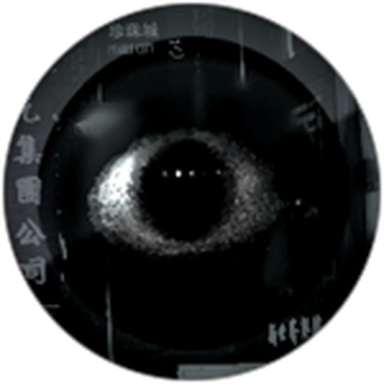 Category:Fans | Nico's Nextbots Wiki | Fandom