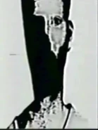 alternate | Nico's Nextbots Wiki | Fandom