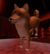 doge | Nico's Nextbots Wiki | Fandom
