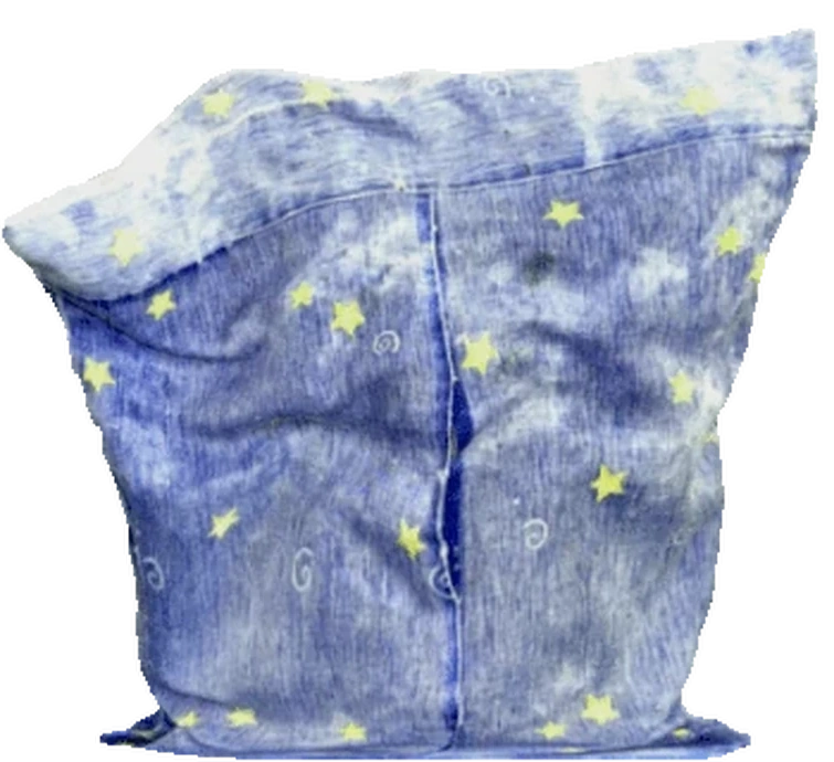 cootie/Gallery | Nico's Nextbots Wiki | Fandom