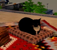 maxwell | Nico's Nextbots Wiki | Fandom