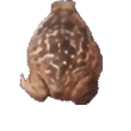 Discuss Everything About Nico's Nextbots Wiki | Fandom